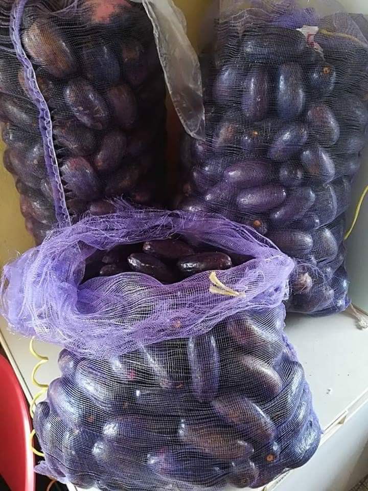 Le safou au Cameroun